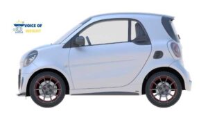 25 Common Things That Weigh One Ton with Images