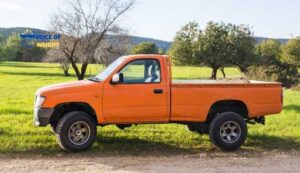 25 Common Things That Weigh One Ton with Images