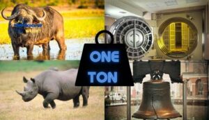 25 Common Things That Weigh One Ton with Images